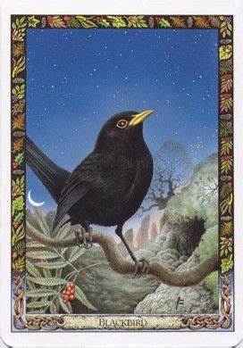 Branwen Daughter of Llyr – Mythical Story of the Celts | WildCraftPlay.com