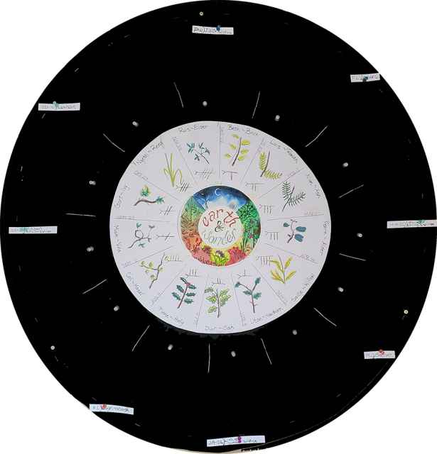 Current Offers | WildCraftPlay.com